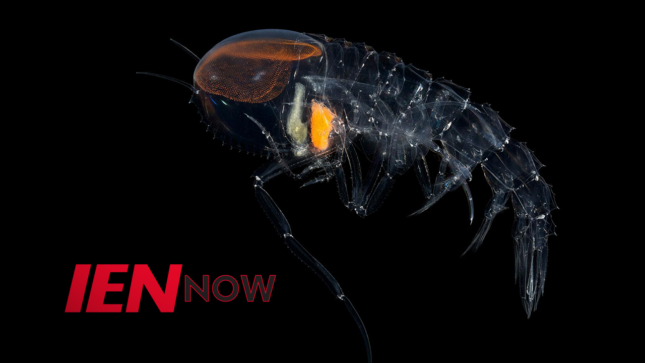 A Real-Life Cloaking Device | Industrial Equipment News