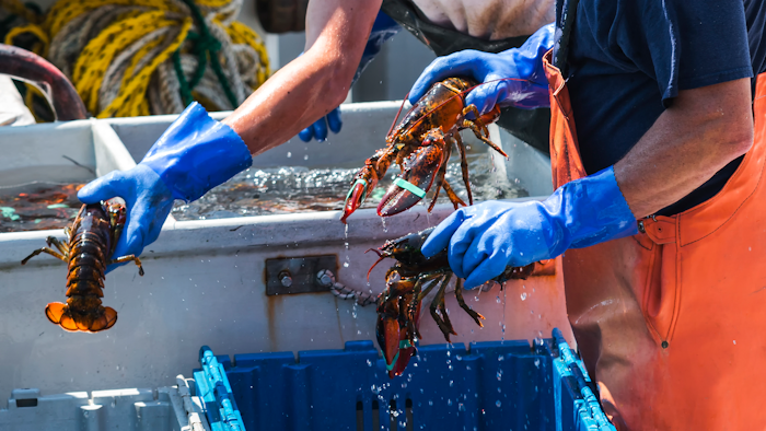 Lobster Business Feels Tariff Pinch | Industrial Equipment News (IEN)