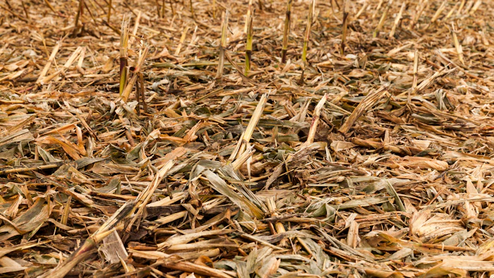 Facility to Turn Corn Field Waste Into Sustainable Products ...