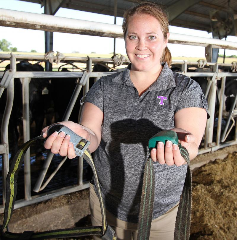 Researchers Develop Fitbits for Cows | Industrial Equipment News