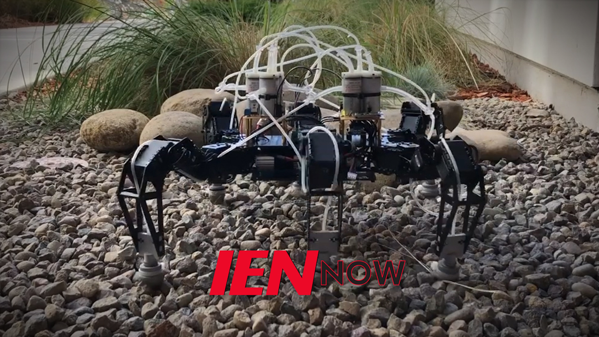Hexapod Robot Gets Fast with Flexible, Adaptable Feet | Industrial ...