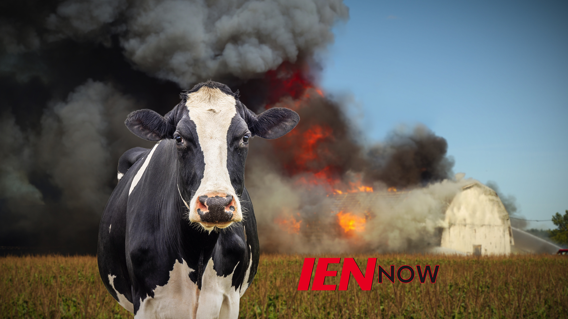 Dairy Farm Explosion Kills 18,000 Cows | Industrial Equipment News