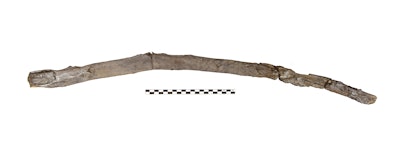 Scientists Find 430,000-Year-Old Hand Tools | Industrial Equipment News